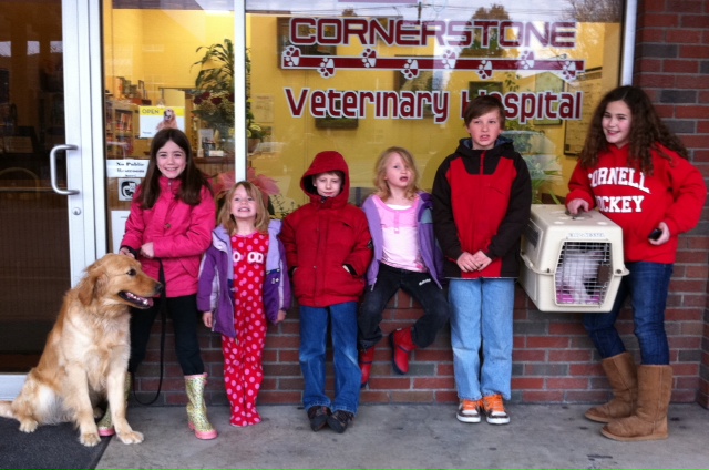 About Us – Cornerstone Vet Hospital