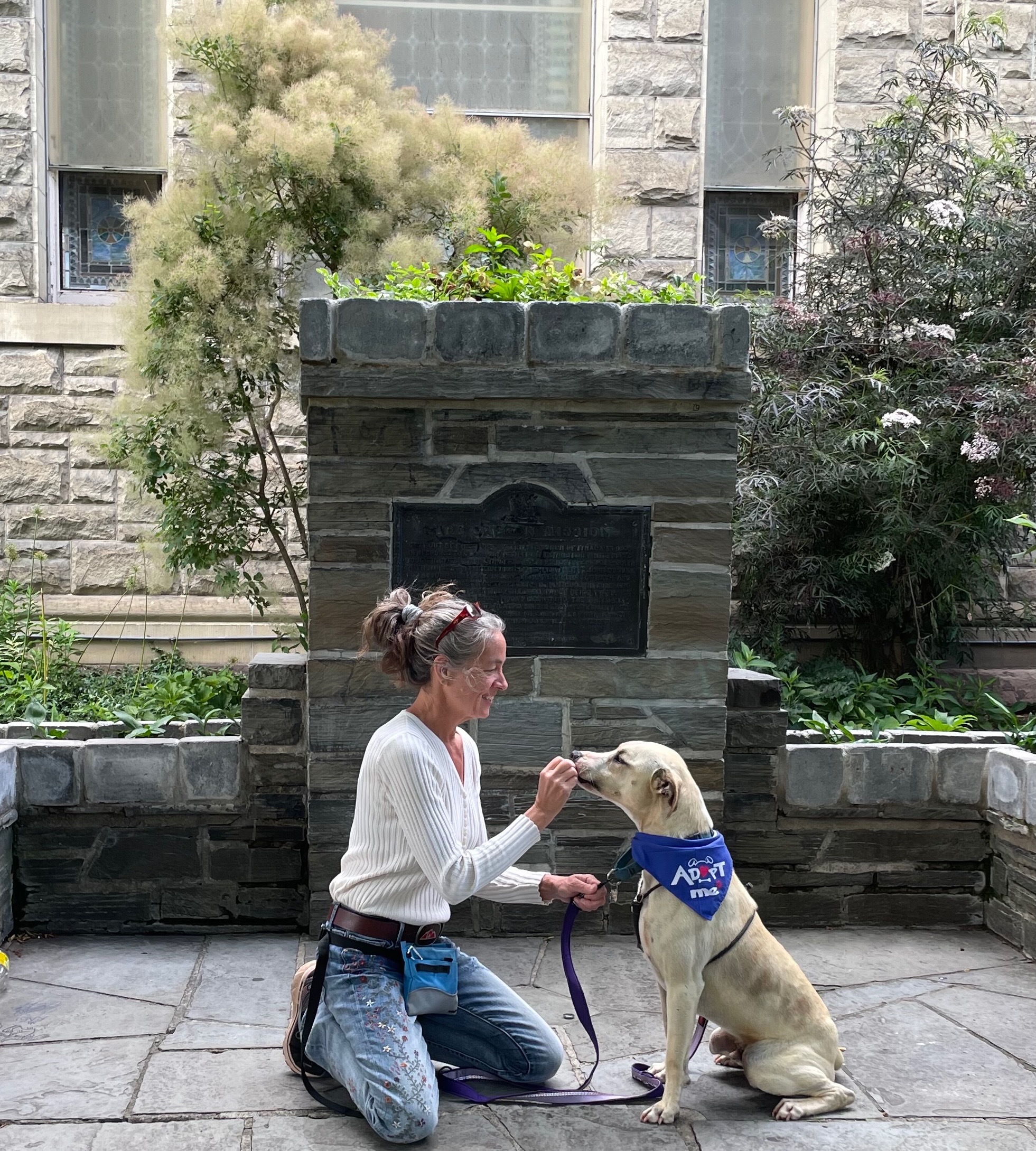Our Team – Cornerstone Vet Hospital